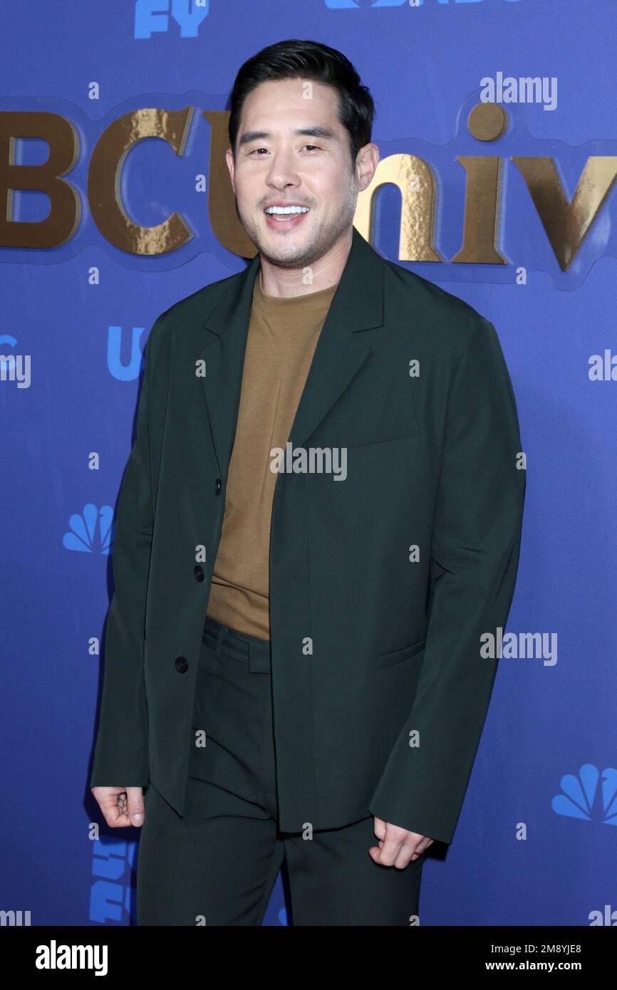 LOS ANGELES - JAN 15: Raymond Lee at NBCUniversal Press Tour Red Carpet ...