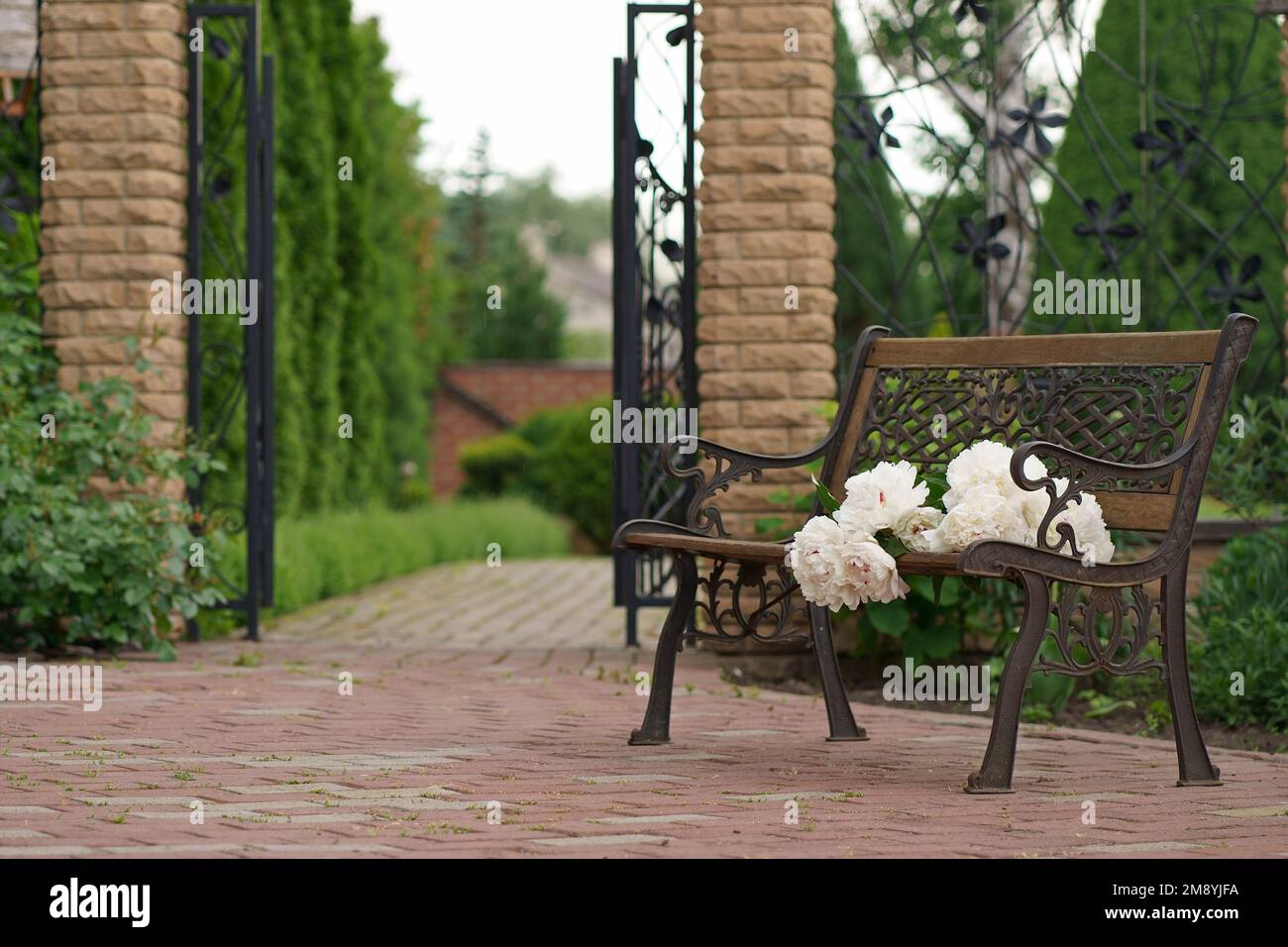 Rhododendron garden with wooden bench hi-res stock photography and ...