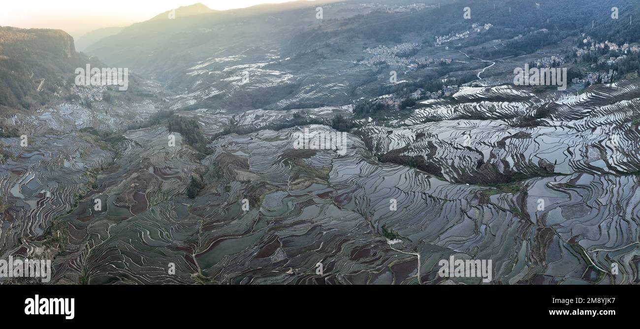 Aerial view of rice terraces at sunrise with water Stock Photo - Alamy
