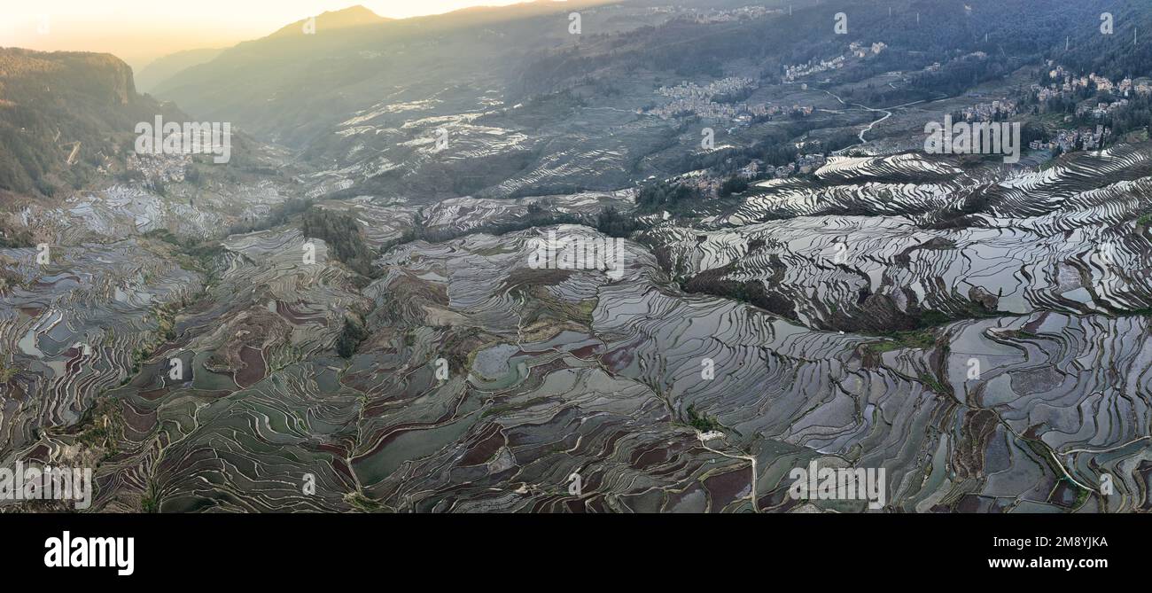 Aerial view of rice terraces at sunrise with water Stock Photo - Alamy