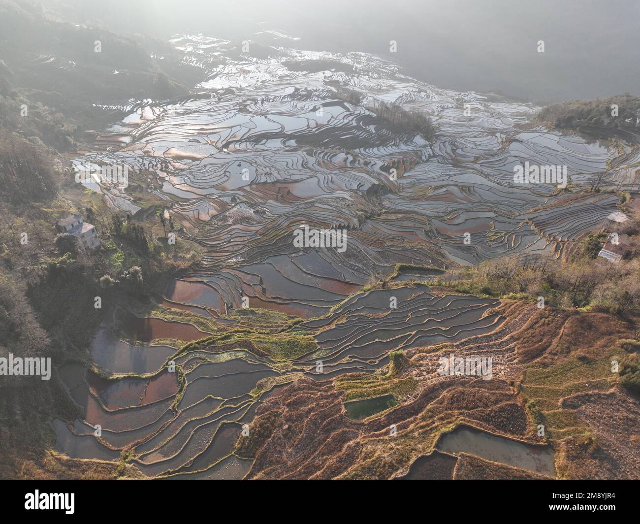 Aerial view of rice terraces at sunrise with water Stock Photo - Alamy