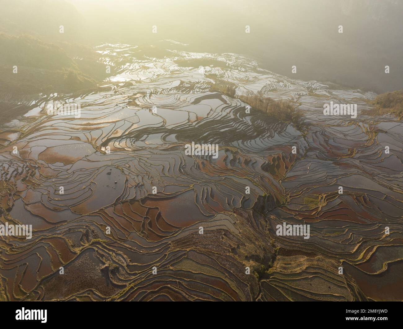 Aerial view of rice terraces at sunrise with water Stock Photo - Alamy