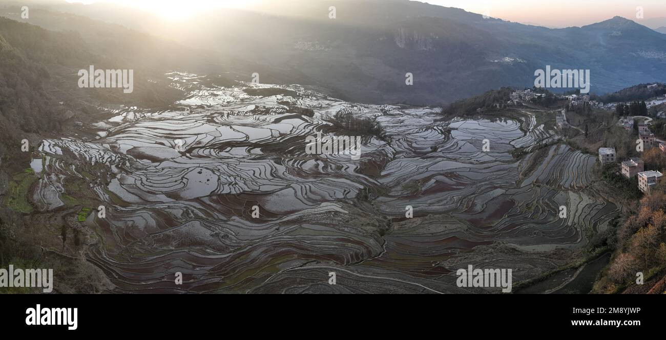 Aerial view of rice terraces at sunrise with water Stock Photo - Alamy