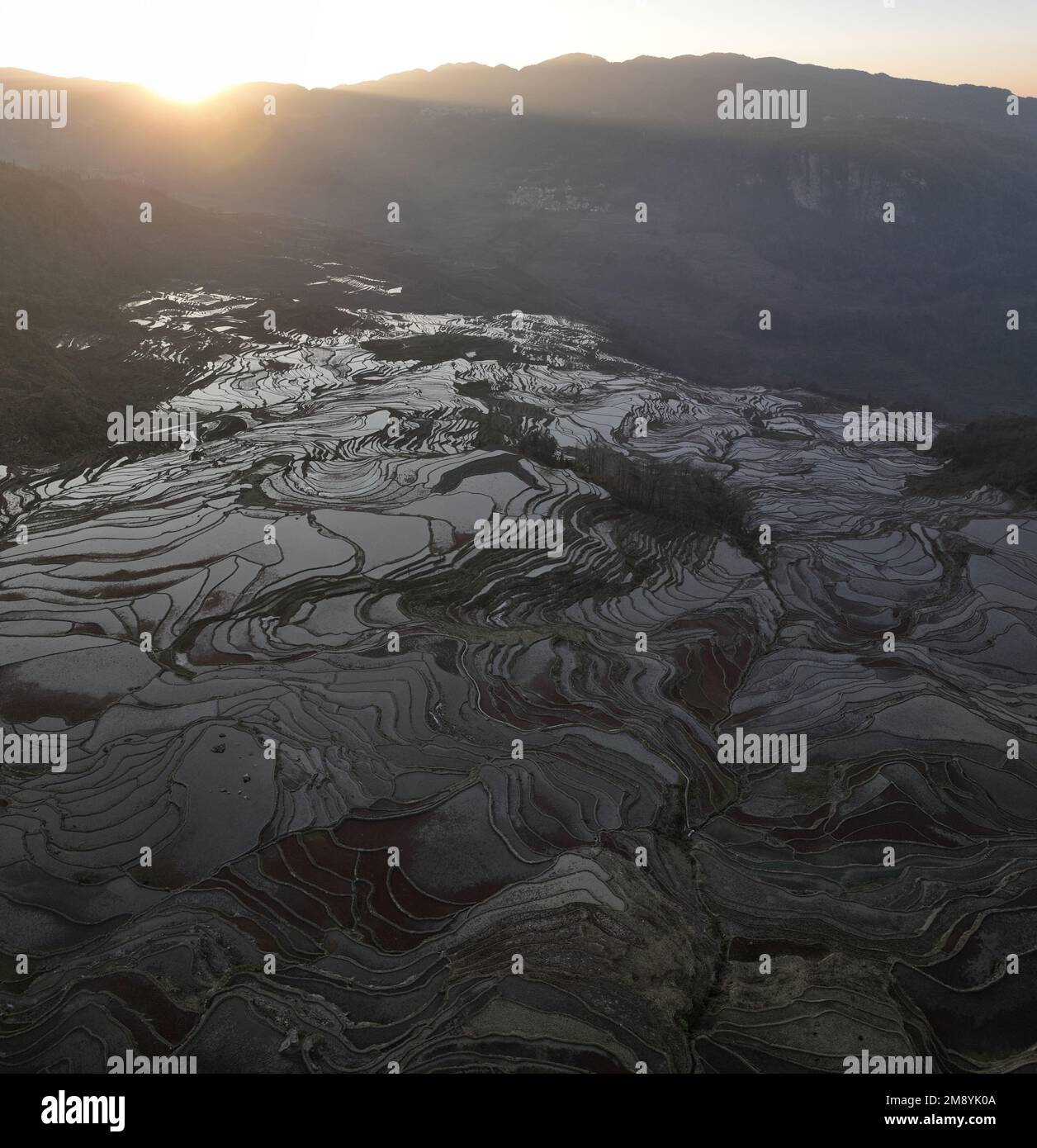 Aerial view of rice terraces at sunrise with water Stock Photo - Alamy