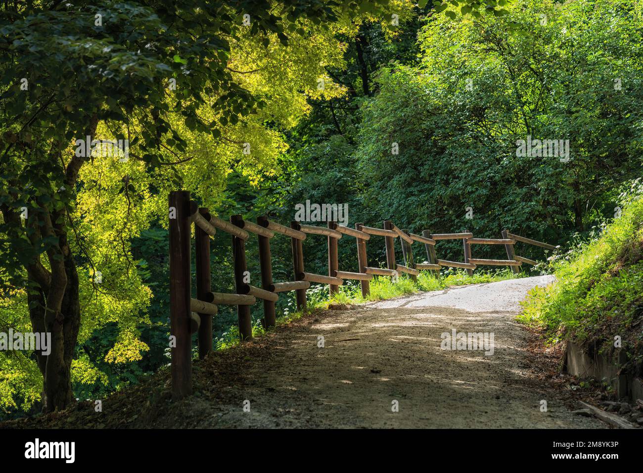 Footpath on Castle Hill in Ljubljana with wooden balustrade and ...