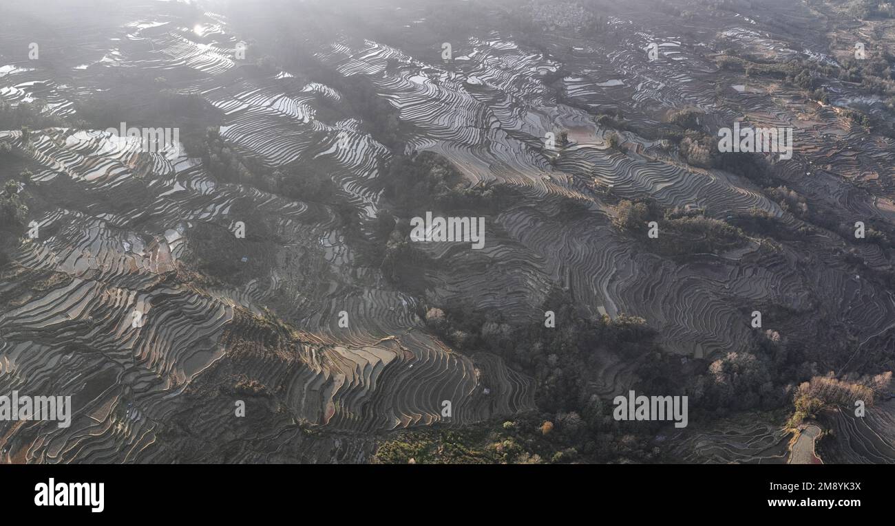 Aerial view of rice terraces at sunrise with water Stock Photo - Alamy