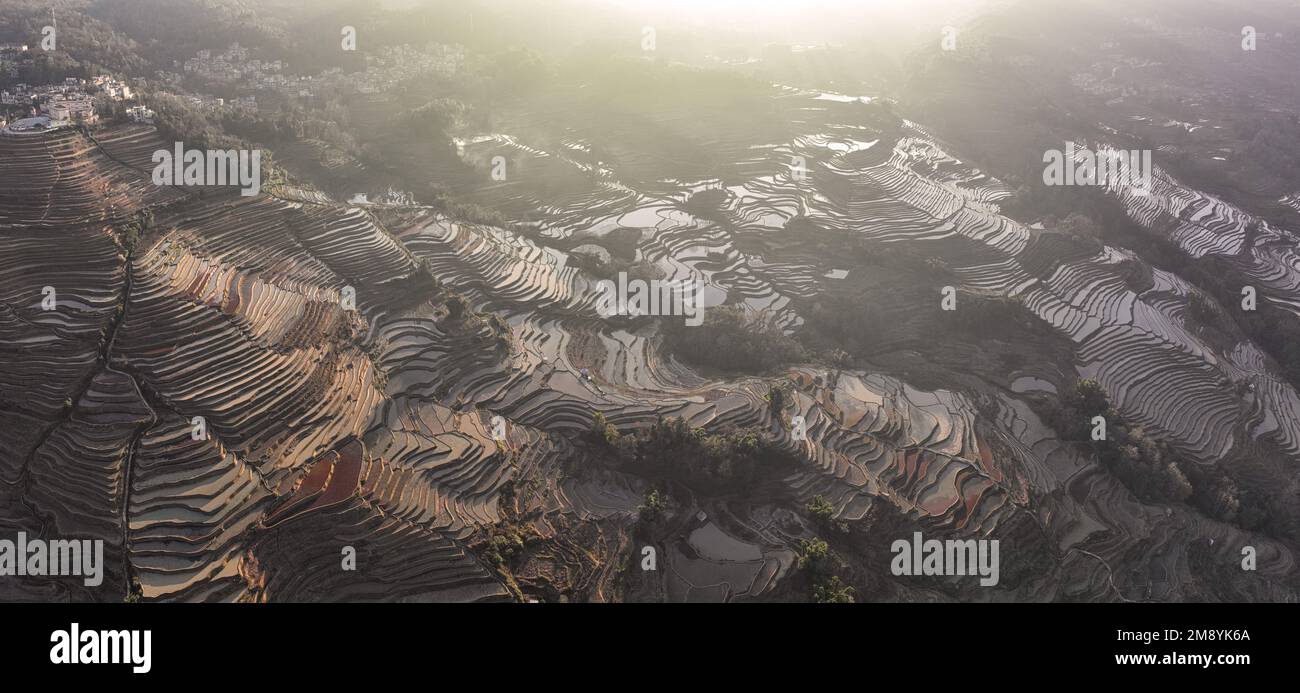 Aerial view of rice terraces at sunrise with water Stock Photo - Alamy