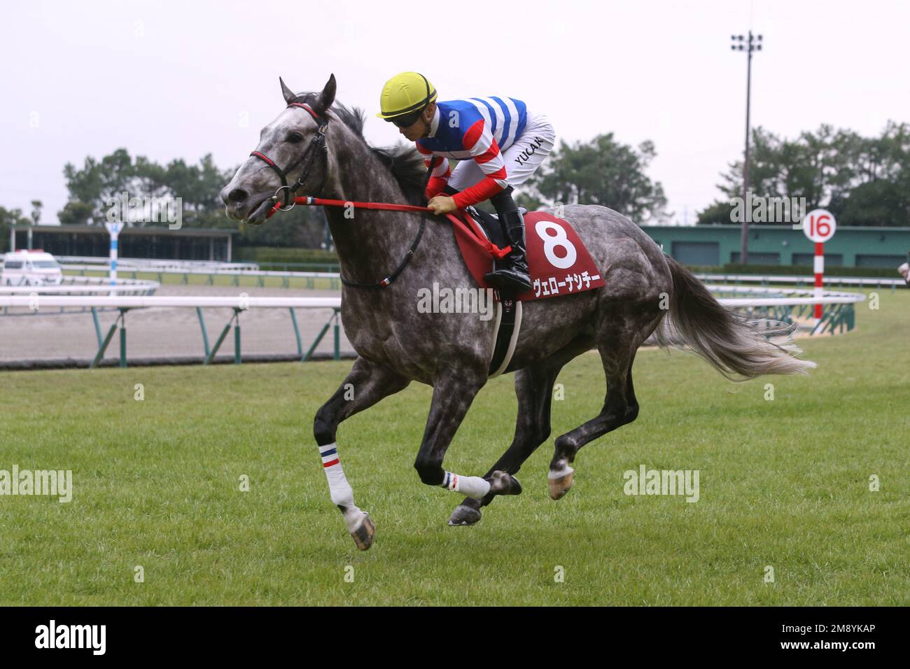 Aichi, Japan. 15th Jan, 2023. Verona City and Yuga Kawada before the ...