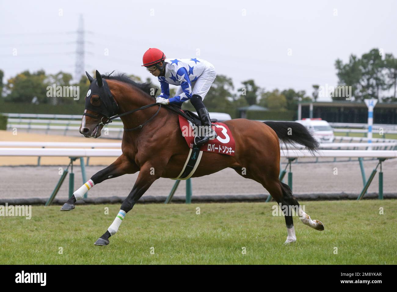 Aichi, Japan. 15th Jan, 2023. Robertson Quay and Takuma Ito before the ...