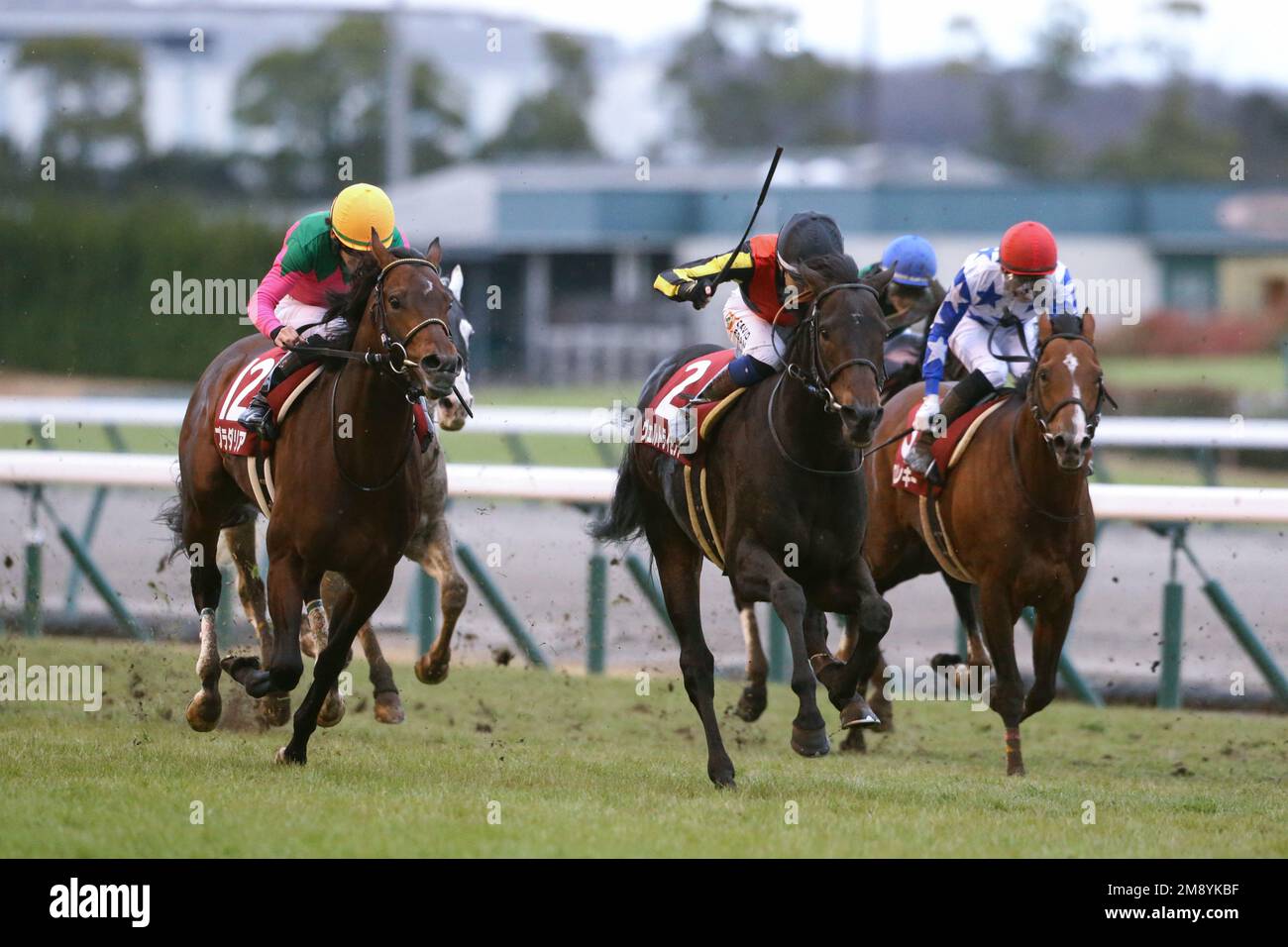 David yamane hi-res stock photography and images - Alamy