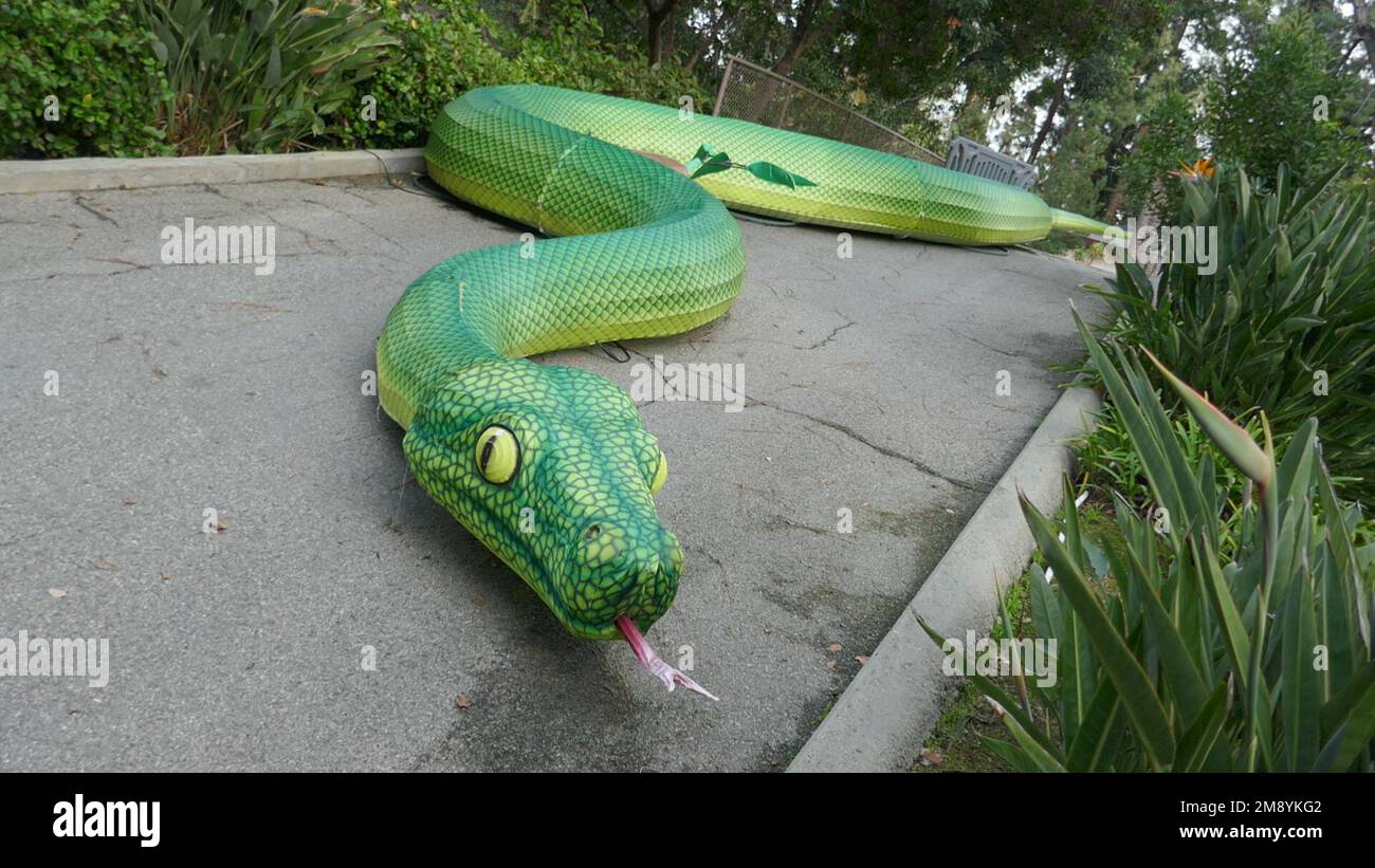 Los Angeles, California, USA 12th January 2023 Snake at LA Zoo on ...