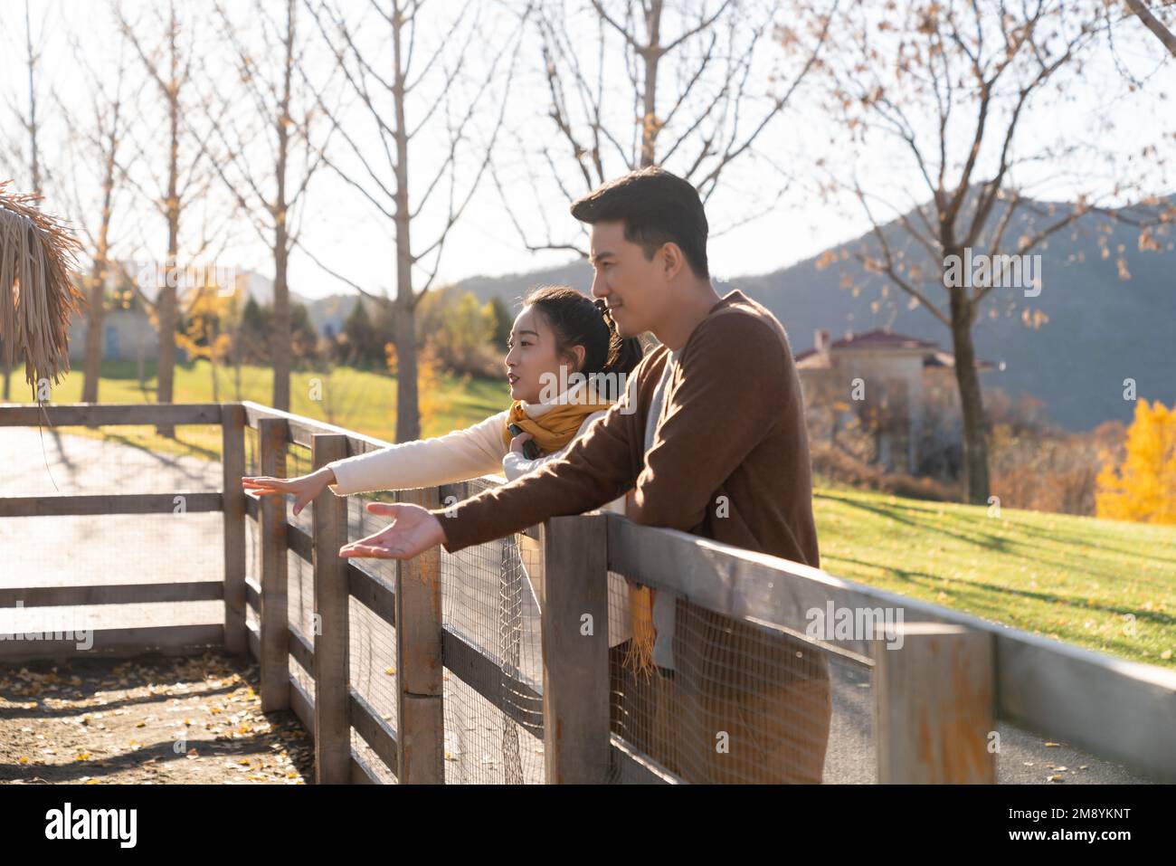 Happy young couple and alpaca Stock Photo - Alamy