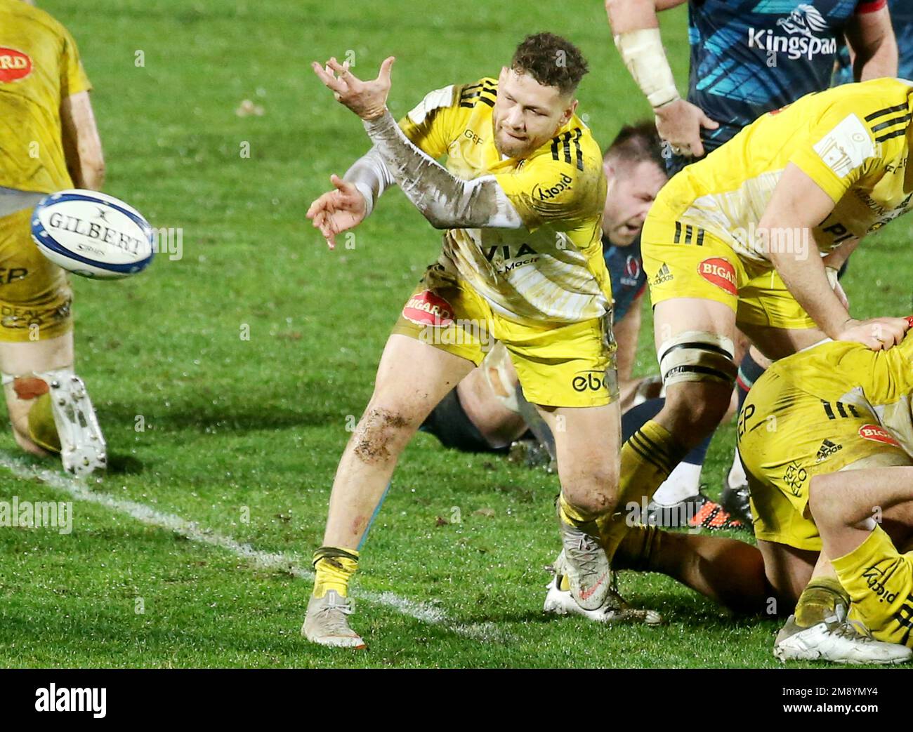 Tawera kerr barlow champions cup hi-res stock photography and images ...