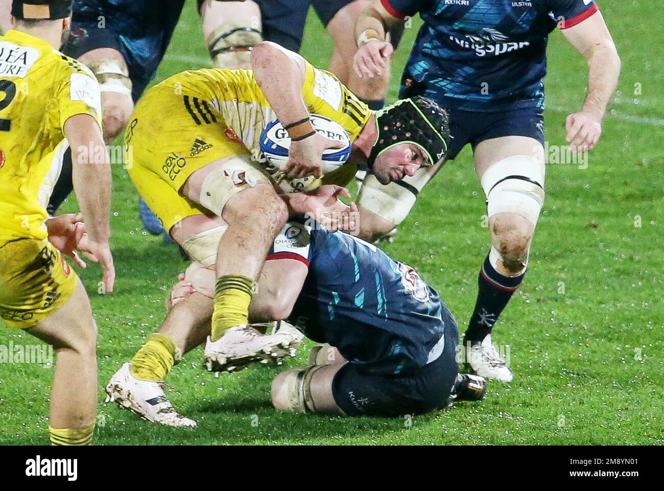 Gregory Alldritt of Stade Rochelais during the Champions Cup, rugby ...