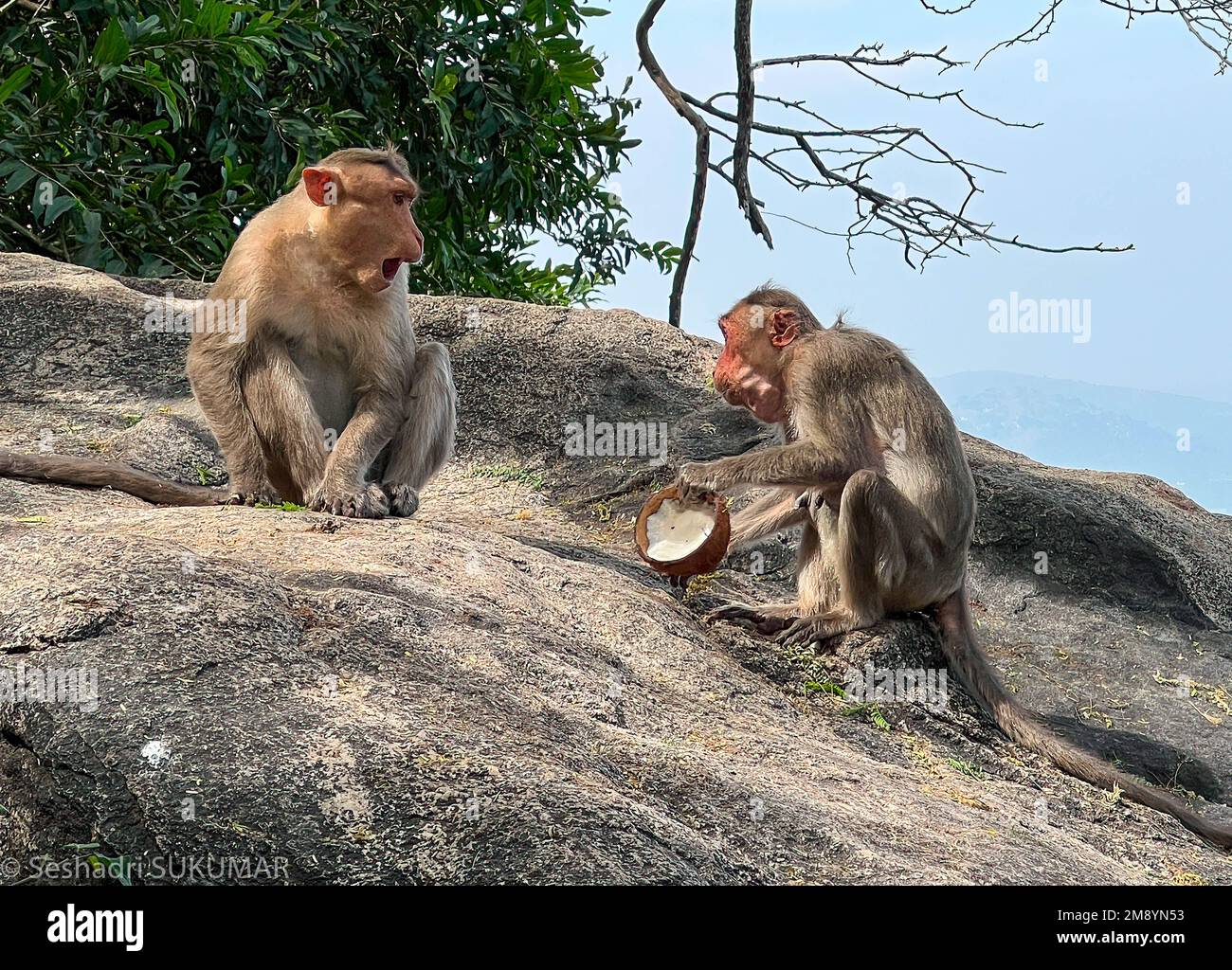 Anjaneyar hi-res stock photography and images - Alamy