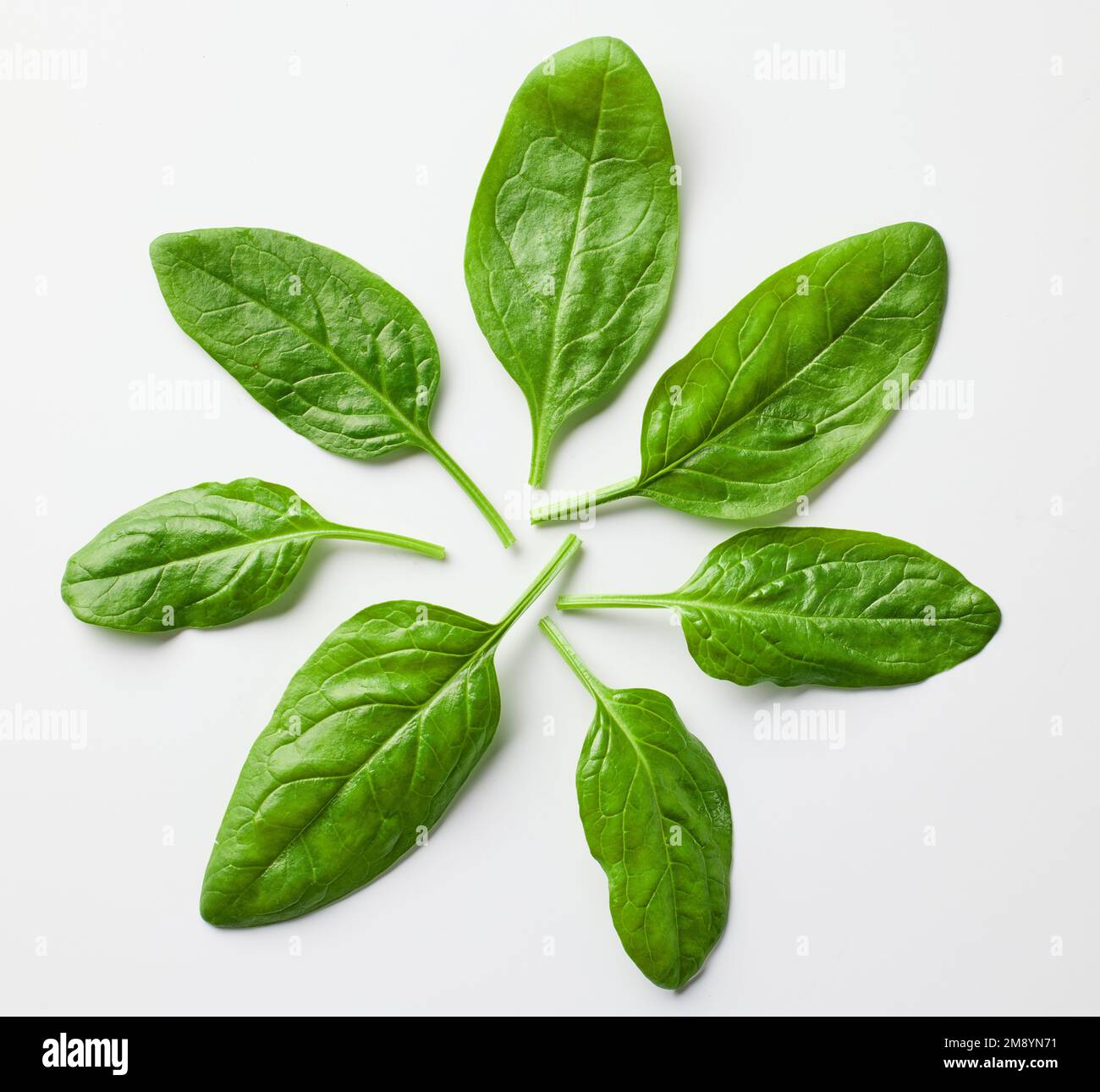 composition of spinach leaves on white background, top view Stock Photo ...
