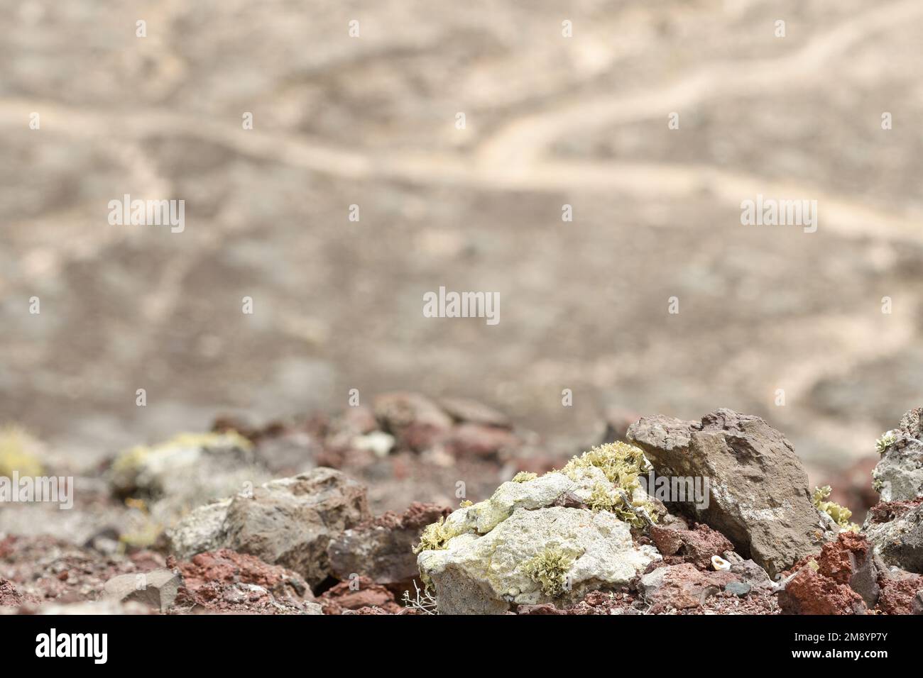 Path up to Montaña Amarilla from La Cocina beach Stock Photo - Alamy
