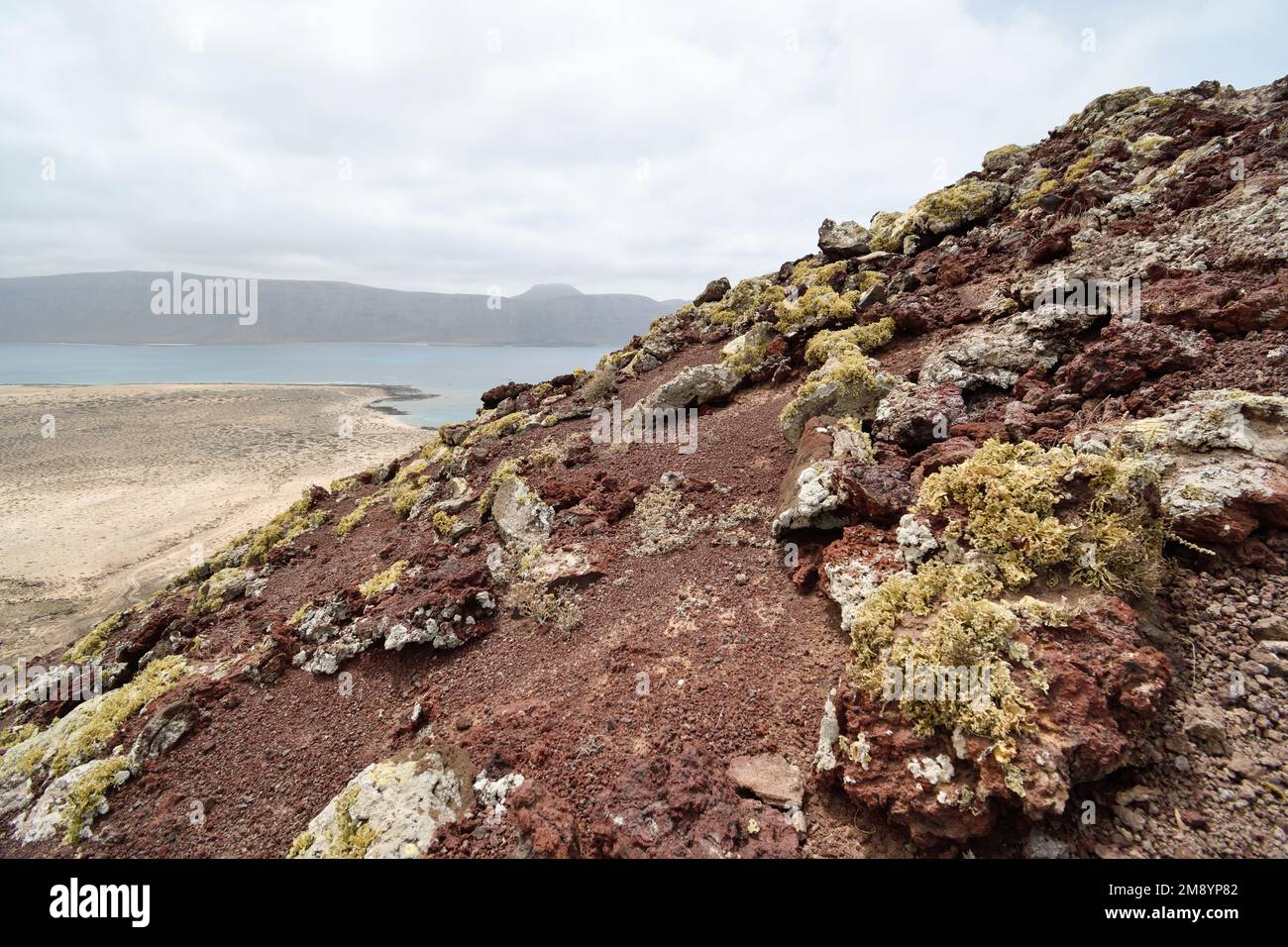 Reddish rock colonized by lichens in Montaña Amarilla Stock Photo - Alamy