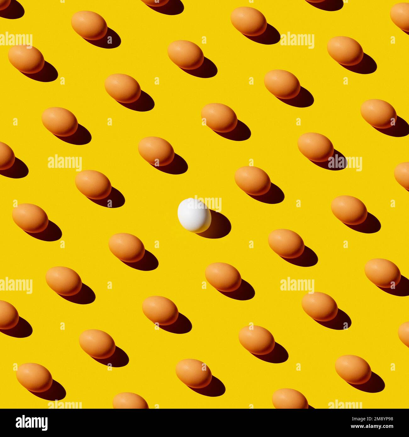 Chicken brown eggs pattern on yellow background with one white egg in ...