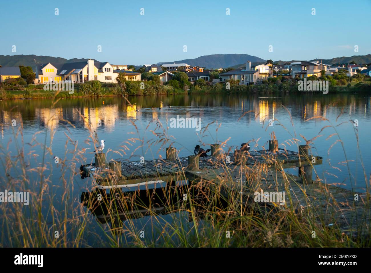 Houses beside Waimanu lagoon, Waikanae Beach, Kapiti District, North ...