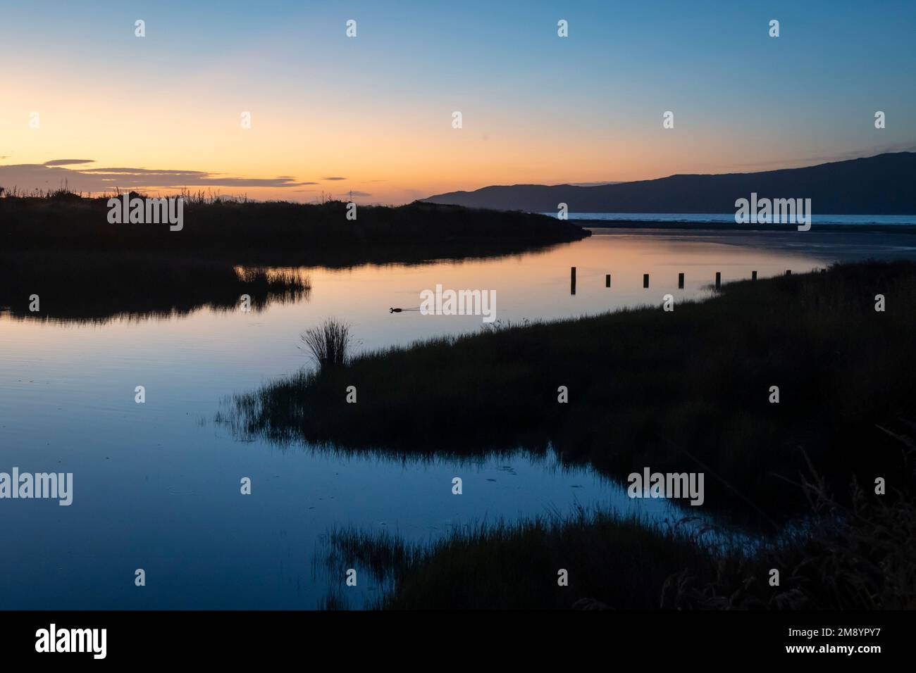 Waikanae estuary and Kapiti Island, Waikanae, Kapiti District, North ...