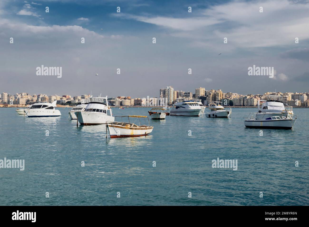 An aerial view of boats on sea in background of buildings in Alexandria ...