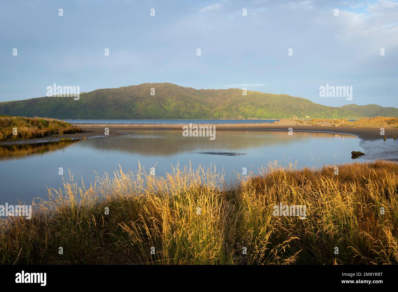 Kapiti Island, Waikanae, Kapiti District, North Island, New Zealand ...
