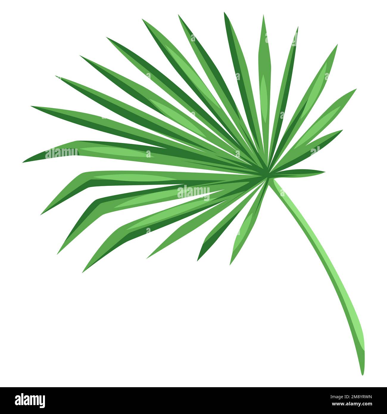 Illustration of stylized palm leaf. Image of tropical foliage and plant ...