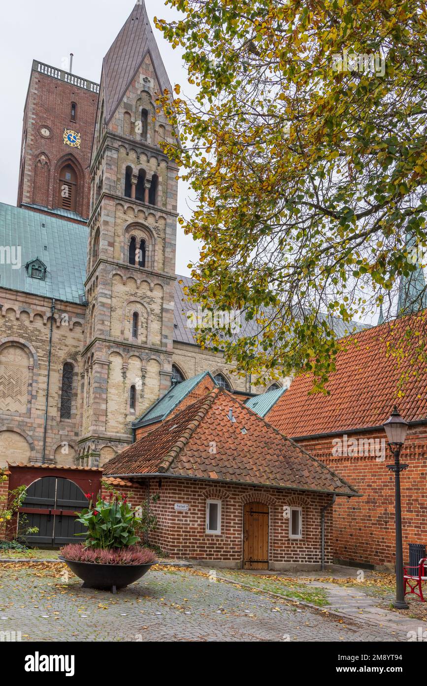 Cityscape with cathedral of little picturesque village Ribe In Southern ...