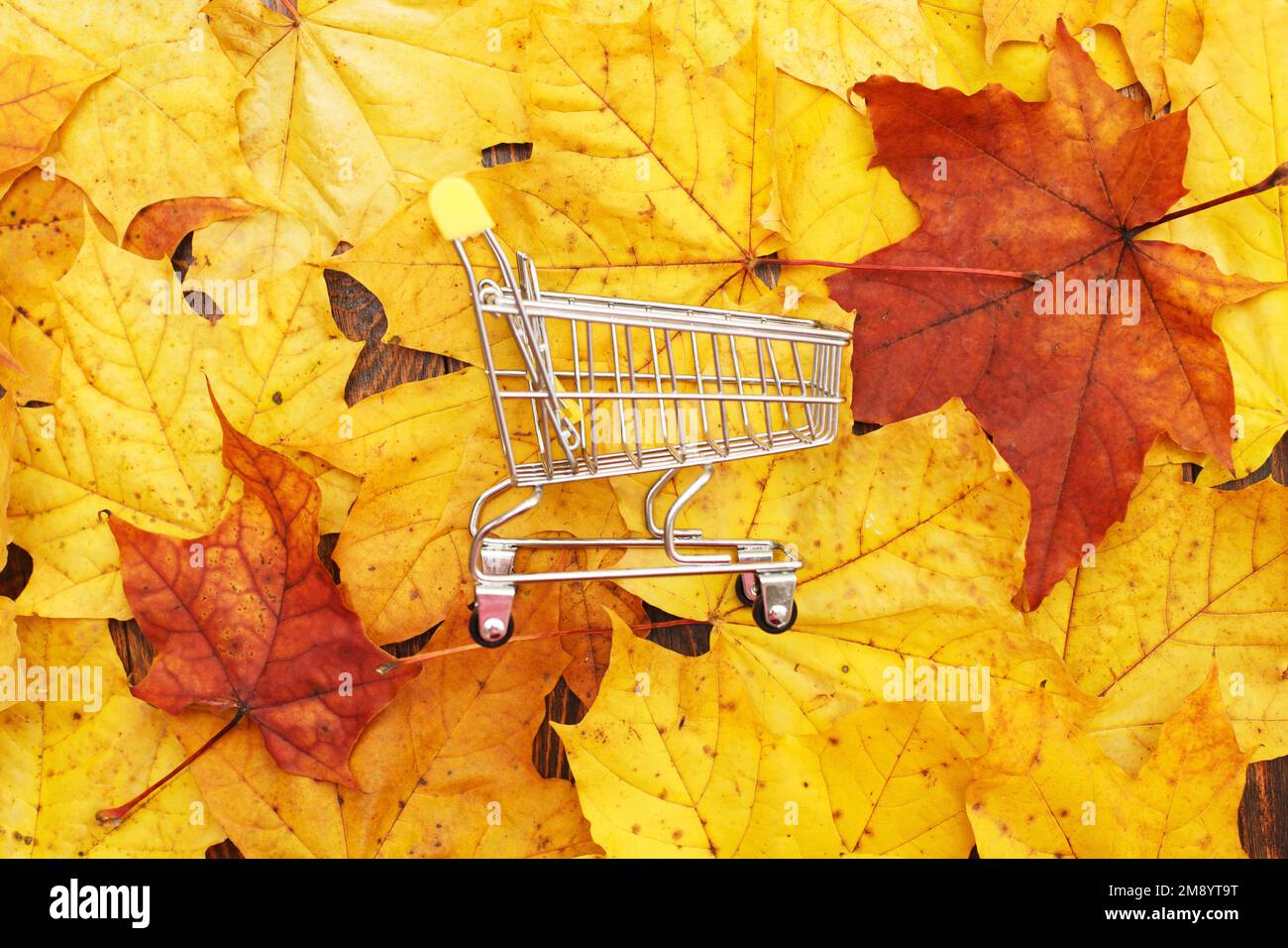 Autumn Leaves background with shopping cart. autumn discount and sale ...