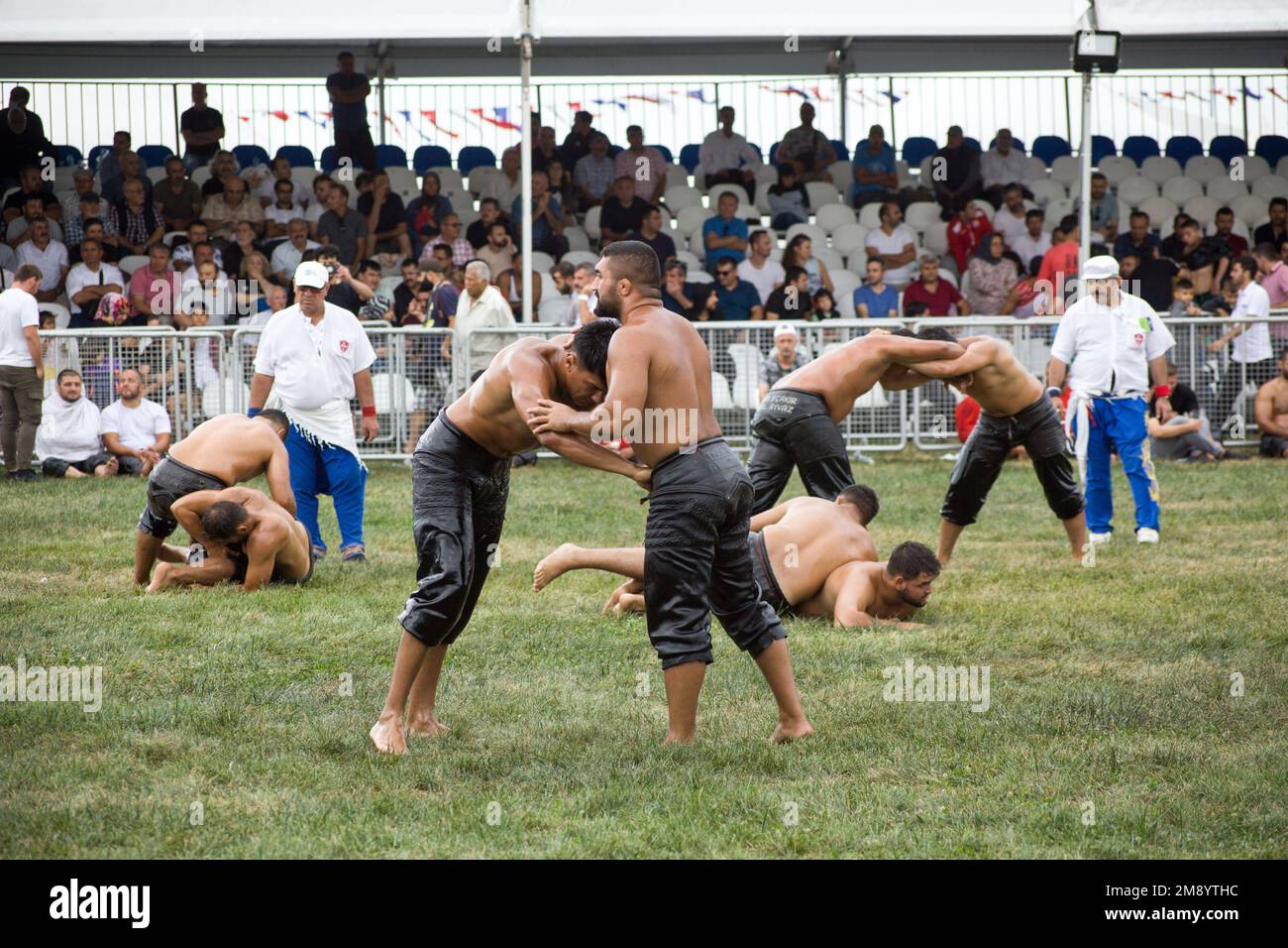 A shallow focus view of the classic Turkish oil wrestling, Kirkpinar ...