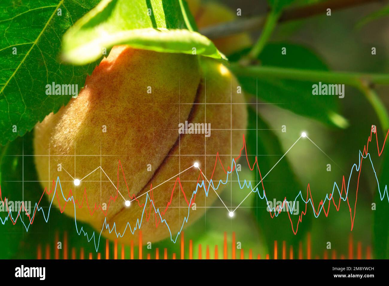 Chart of buying, selling, agribusiness. Delicious fruits. Ripe sweet ...