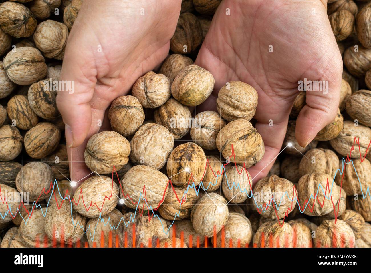 Growing walnuts digital graph. Futuristic technology trend. Sustainable ...