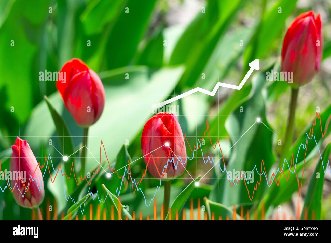 Green area chart hi-res stock photography and images - Alamy