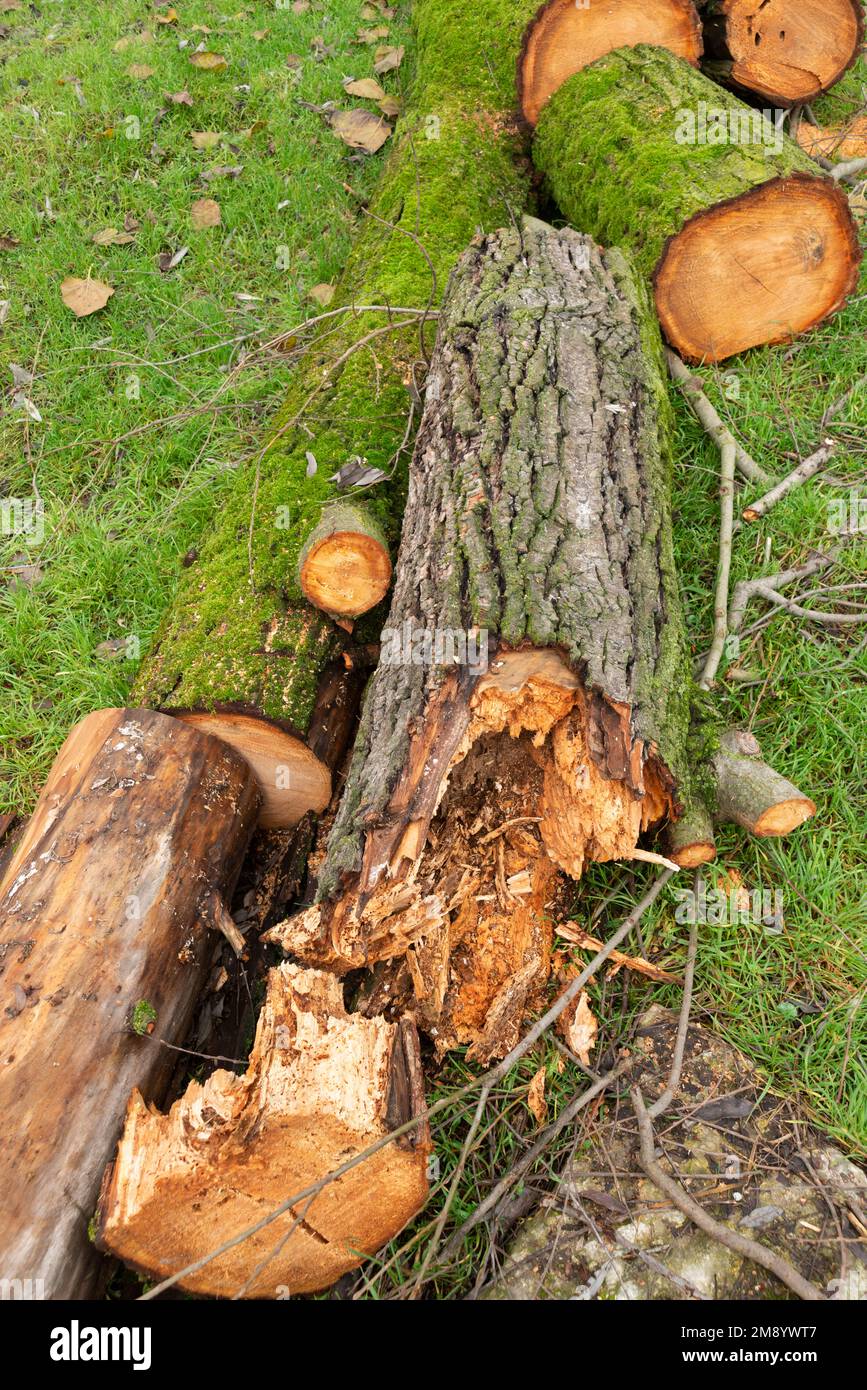 Safety down day hi-res stock photography and images - Alamy