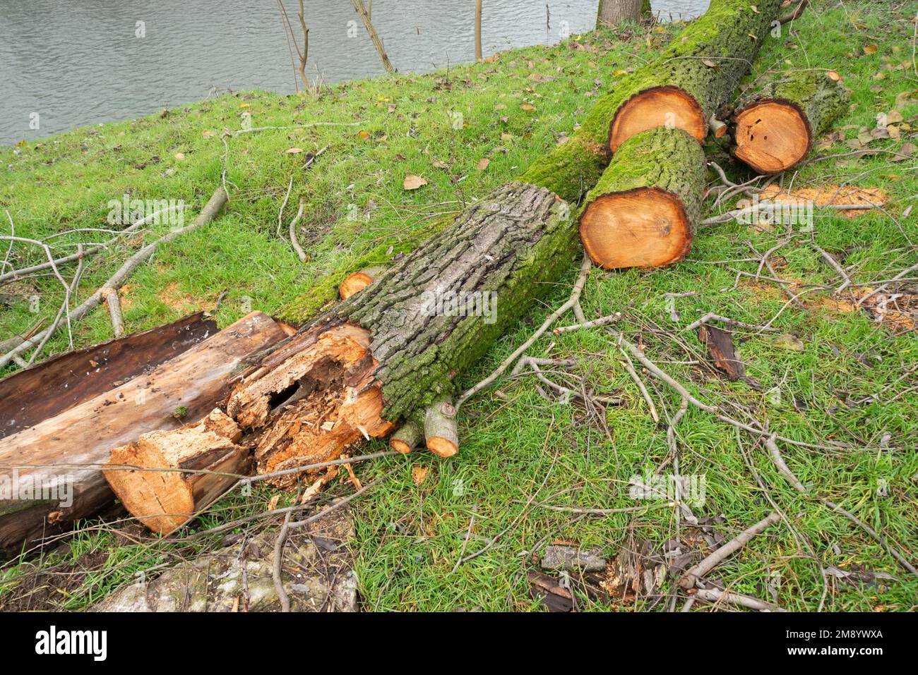 Rotted out hi-res stock photography and images - Alamy