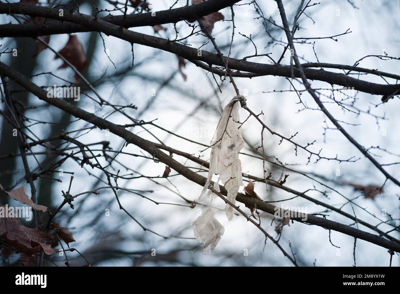 Rubbish stuck in tree branches hi-res stock photography and images - Alamy