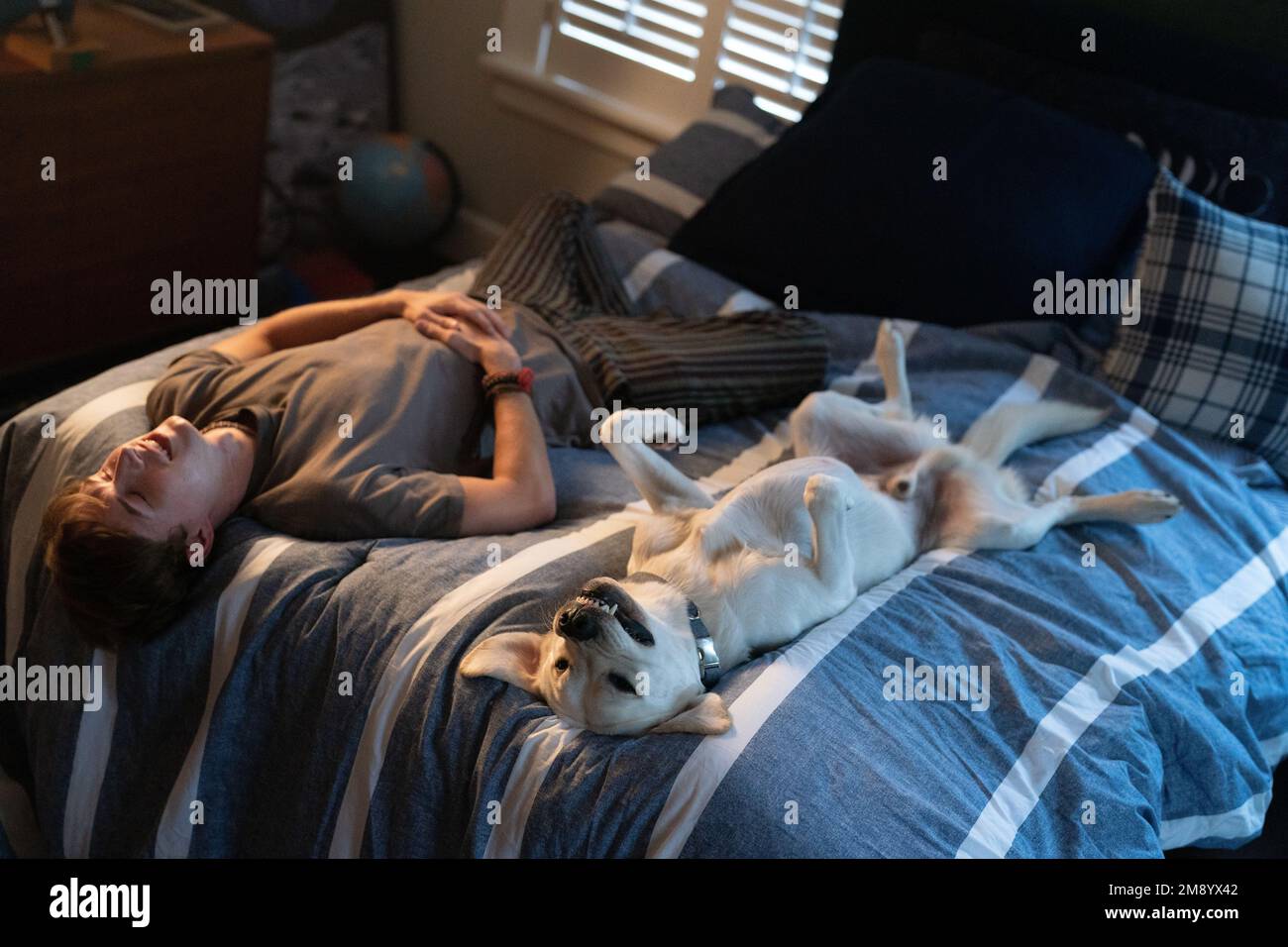 Dog gone 2023 hi-res stock photography and images - Alamy