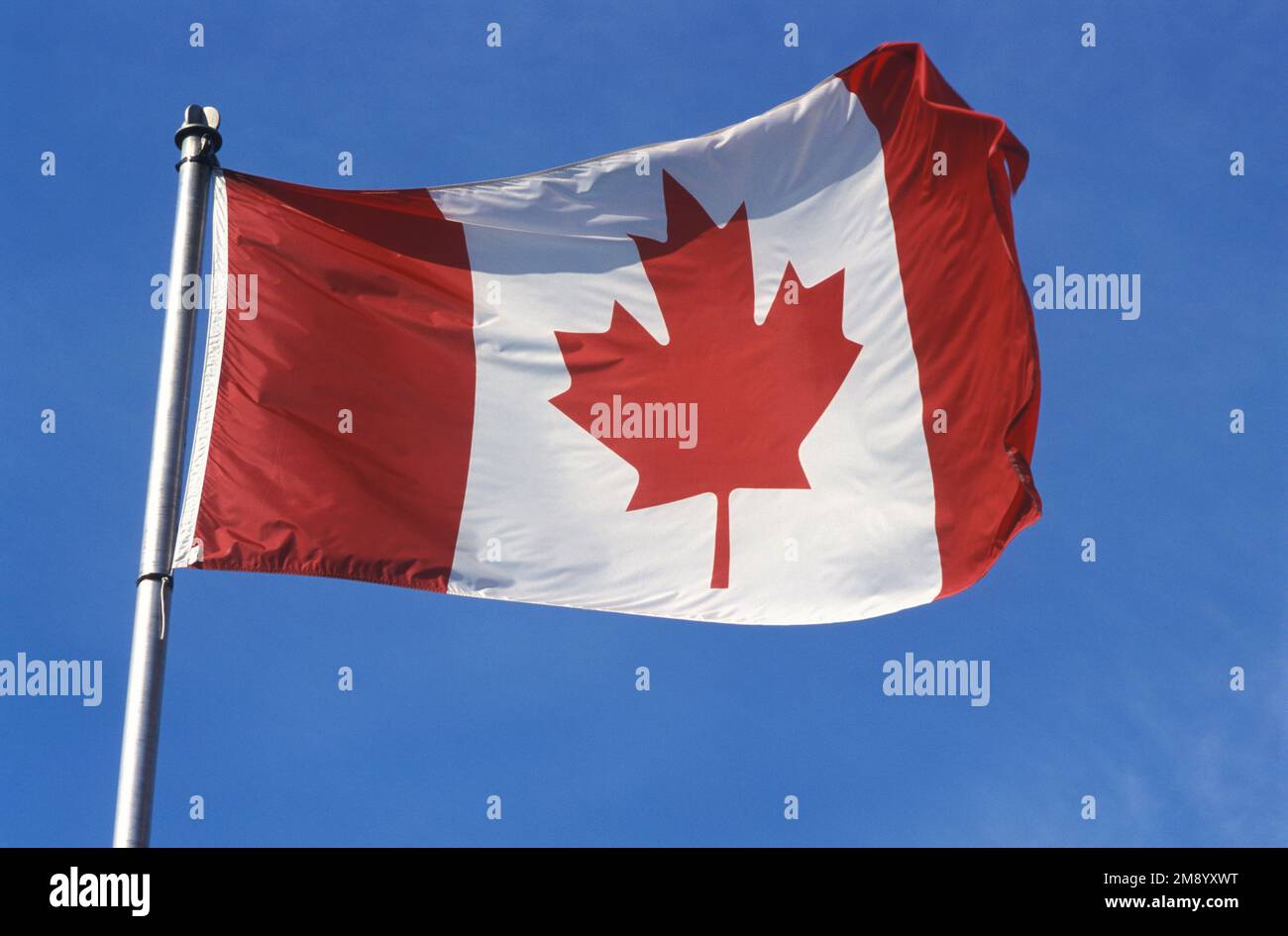 Canada national emblem hi-res stock photography and images - Alamy