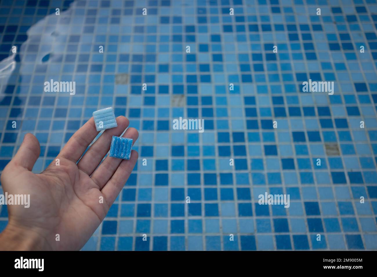 Hand holding small tile from floor of swimming pool. Reconstruction of ...