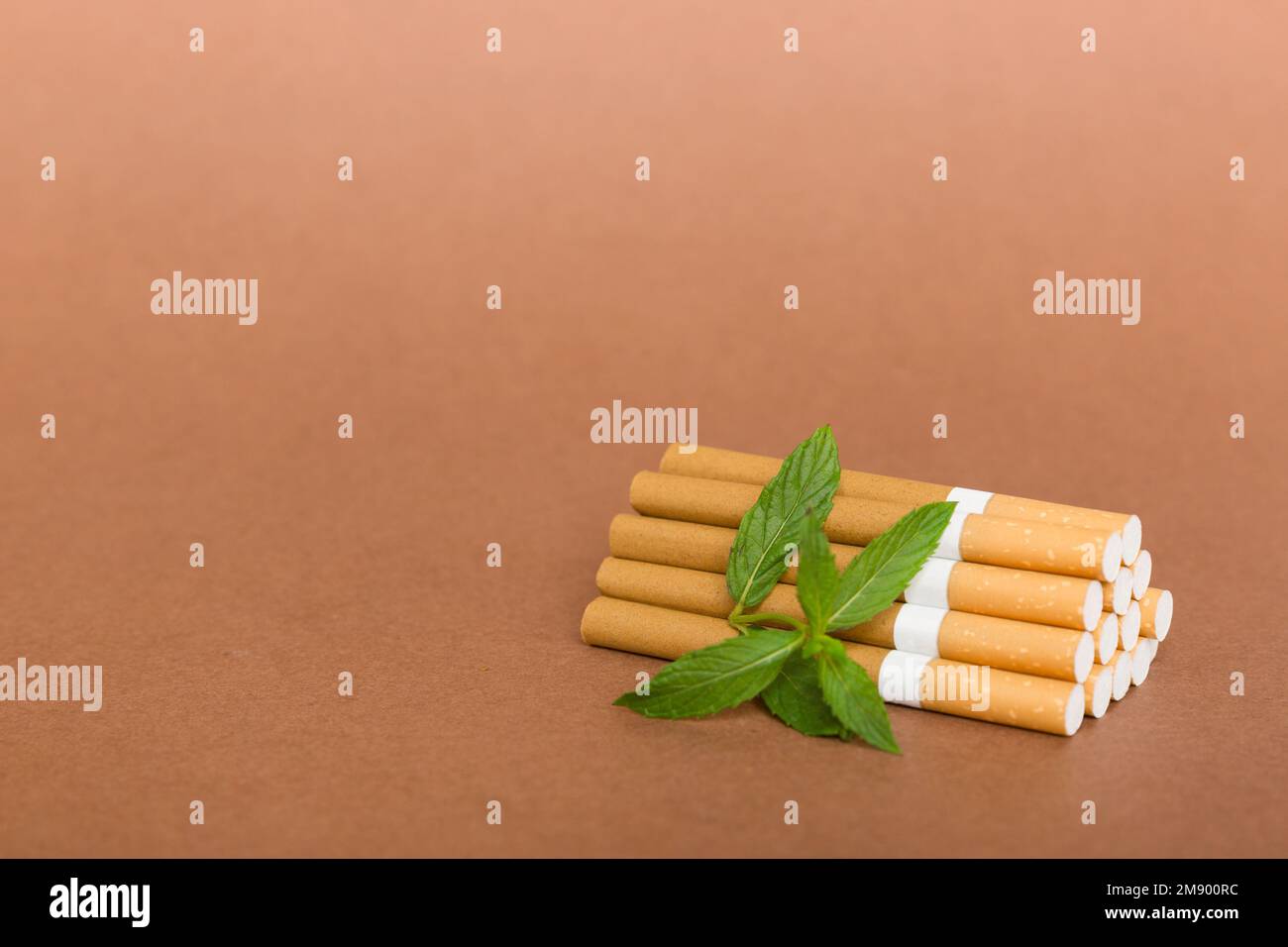 Menthol cigarettes and fresh mint leaves on colored background, Many ...
