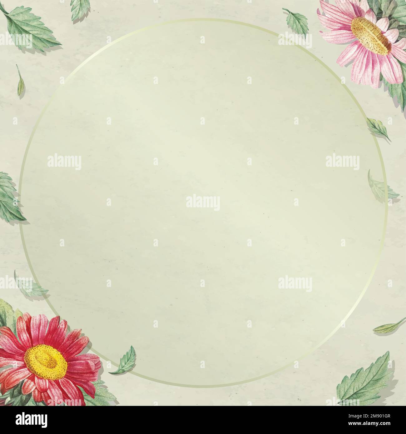 Gerbera daisy pattern frame vector Stock Vector Image & Art - Alamy