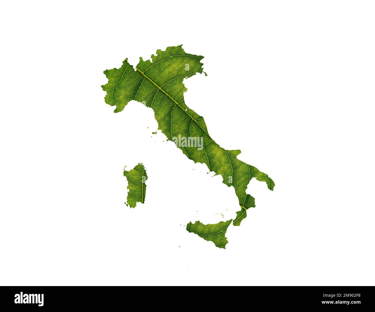The Italy map made of green leaves isolated on a white background ...