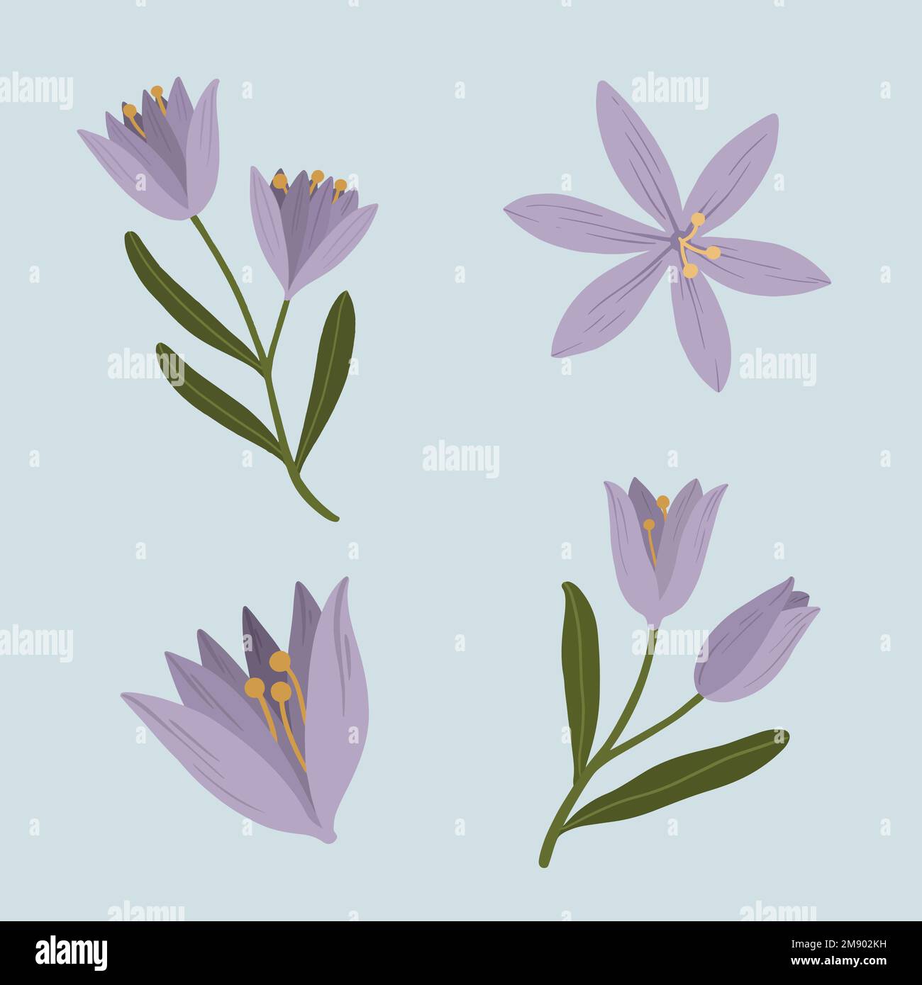 Purple flower social ads template vector Stock Vector Image & Art - Alamy