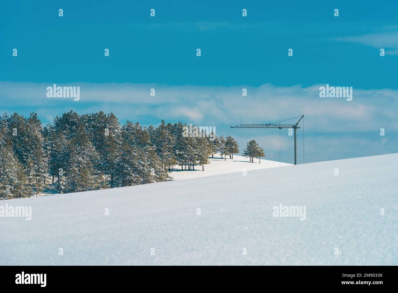 Construction crane at the edge of the pine wood forest under snow in ...