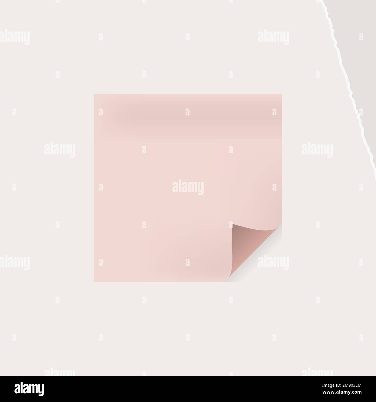 Pink square paper note social ads template vector Stock Vector Image ...