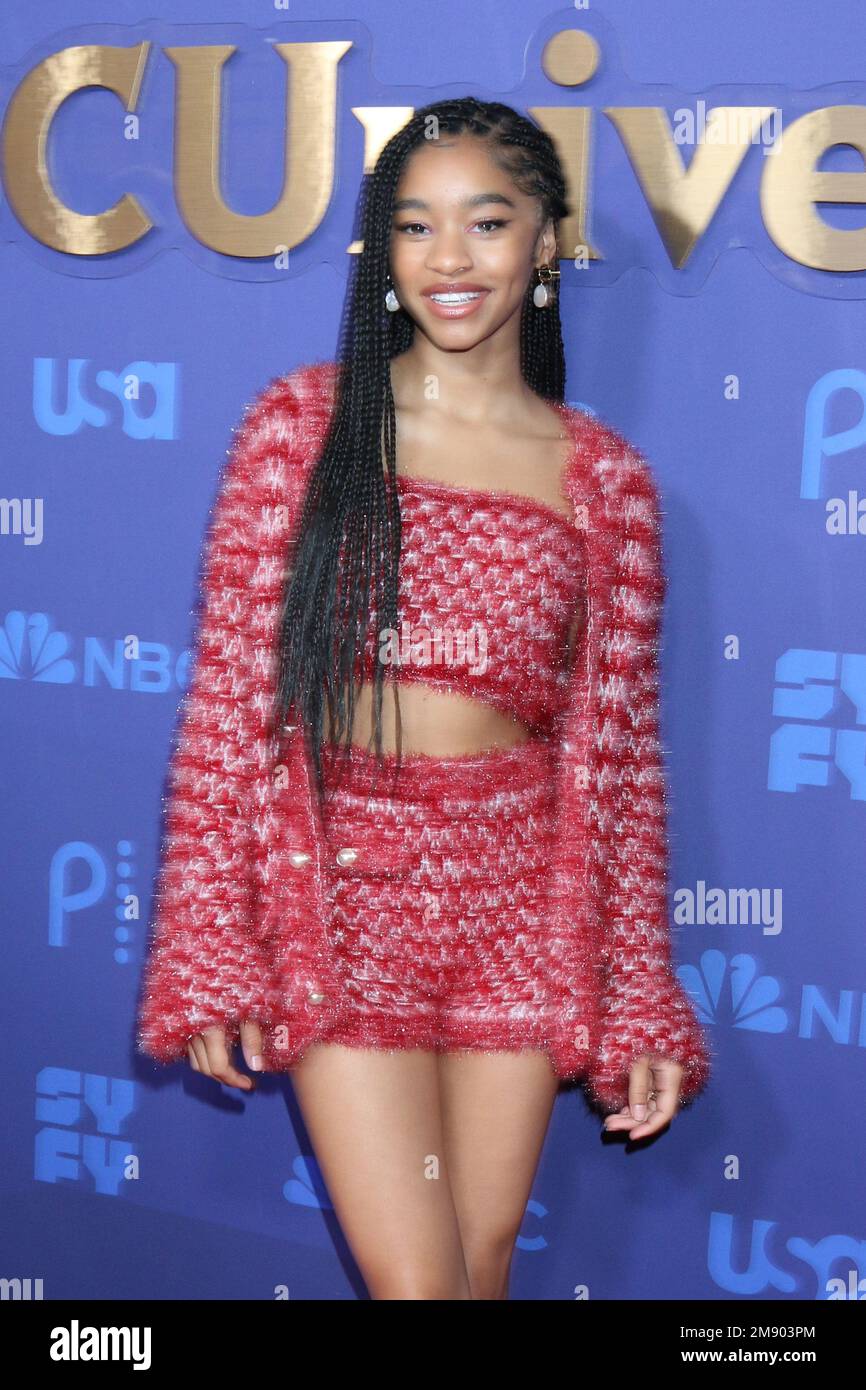 January 15, 2023, Pasadena, CA, USA: LOS ANGELES - JAN 15: Akira Akbar at NBCUniversal Press ...