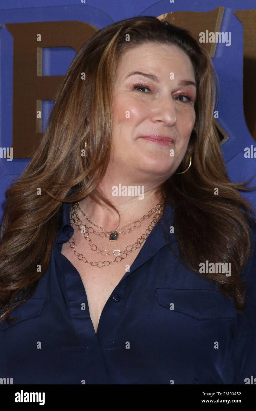 January 15, 2023, Pasadena, CA, USA: LOS ANGELES - JAN 15: Ana Gasteyer at NBCUniversal Press ...