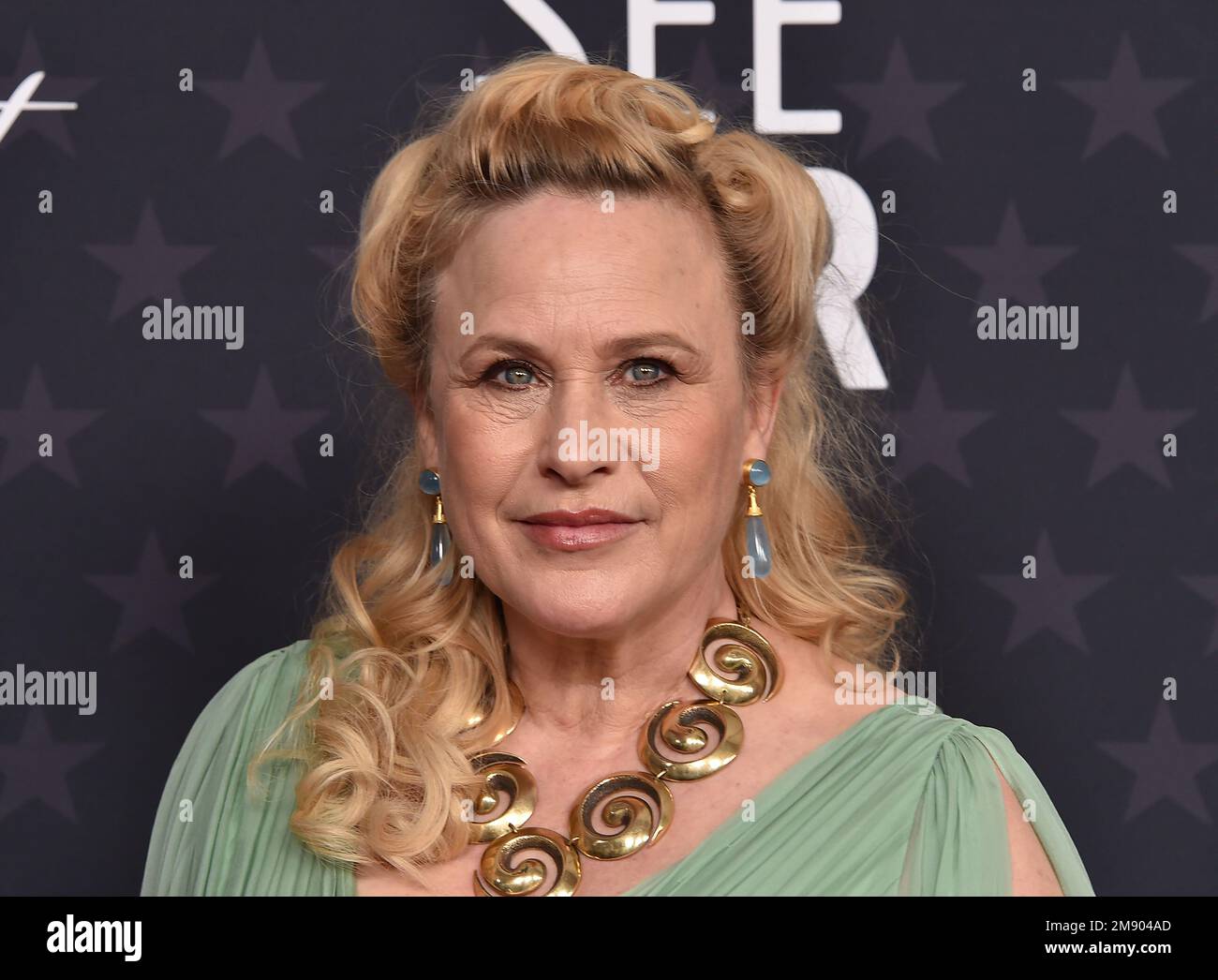 Los Angeles, USA. 15th Jan, 2023. Patricia Arquette arriving at the ...