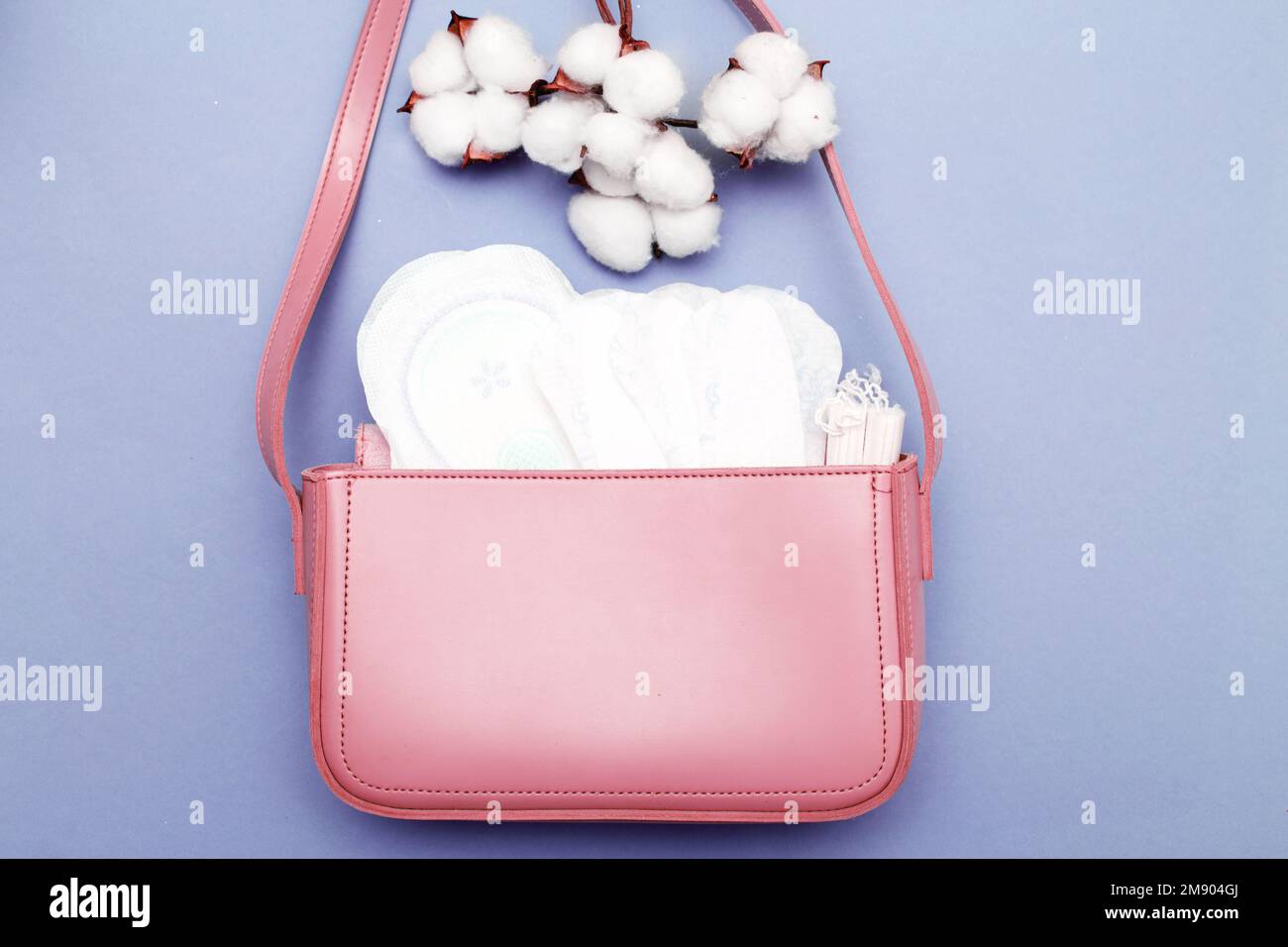 tampons, hygienic panty liners, feminine sanitary pads in a women's ...